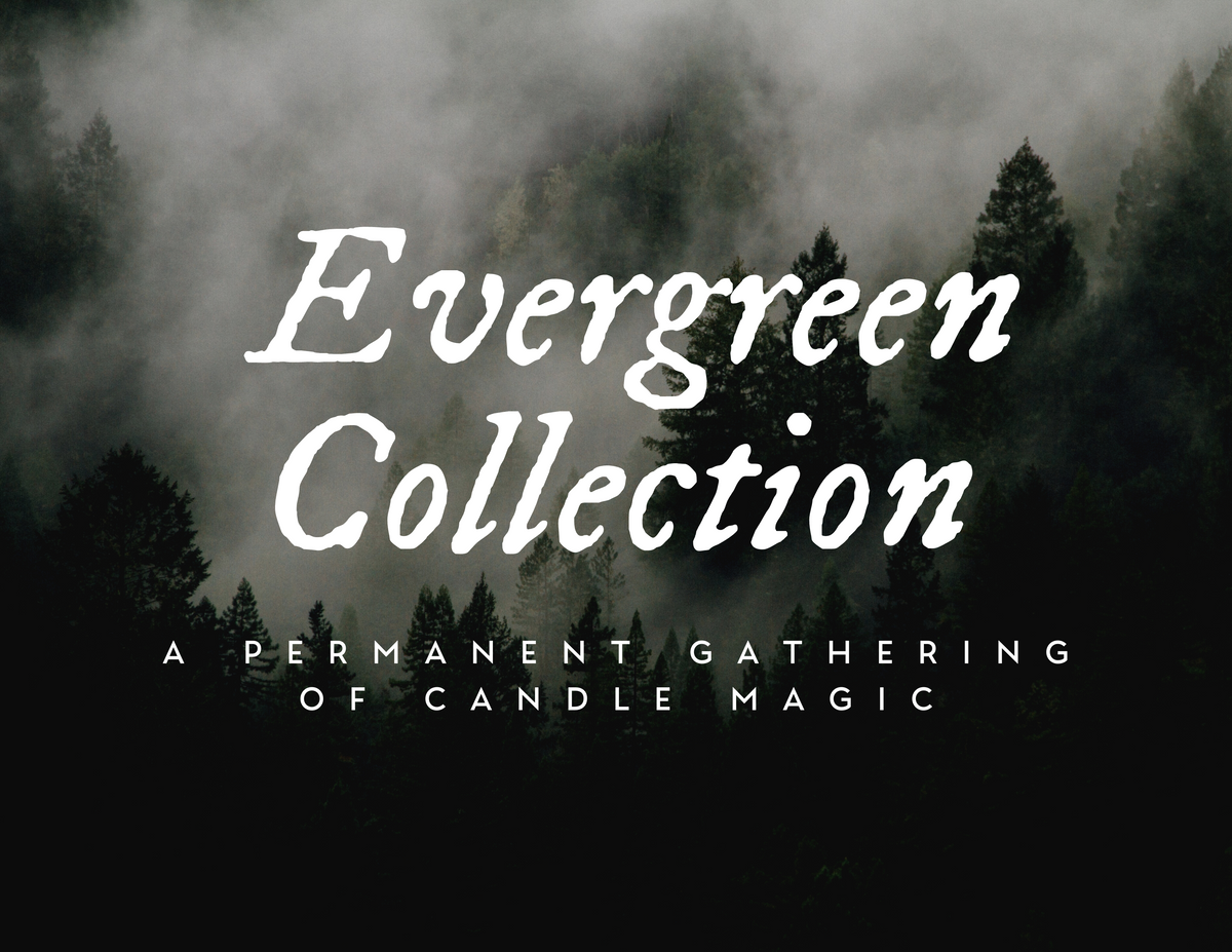 Evergreen Collection – BlueForest BlackMoon