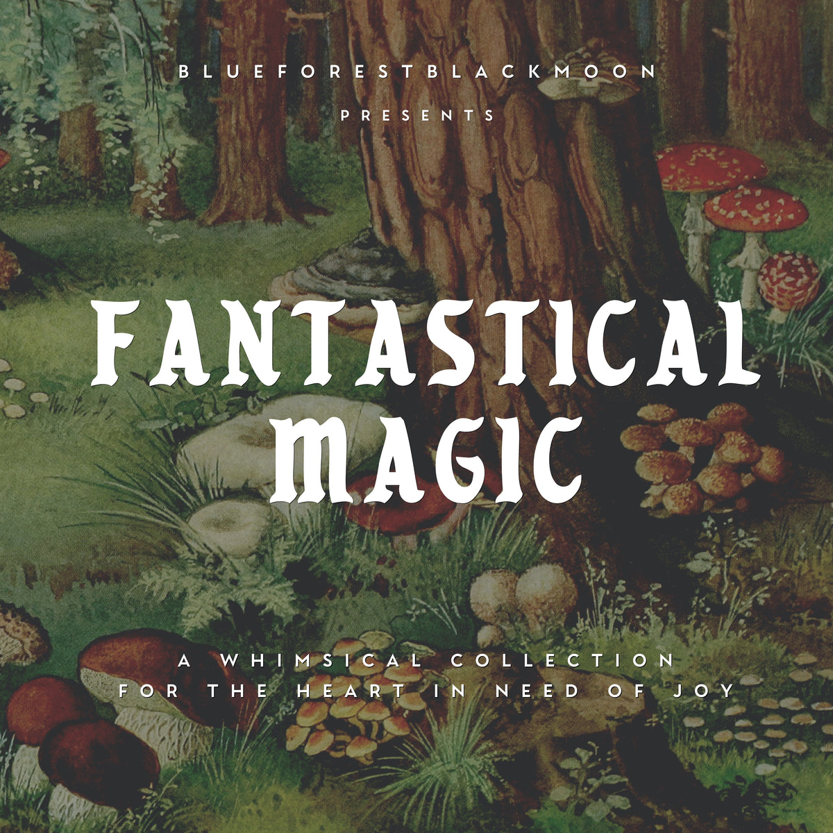 Fantastical Magic – BlueForest BlackMoon